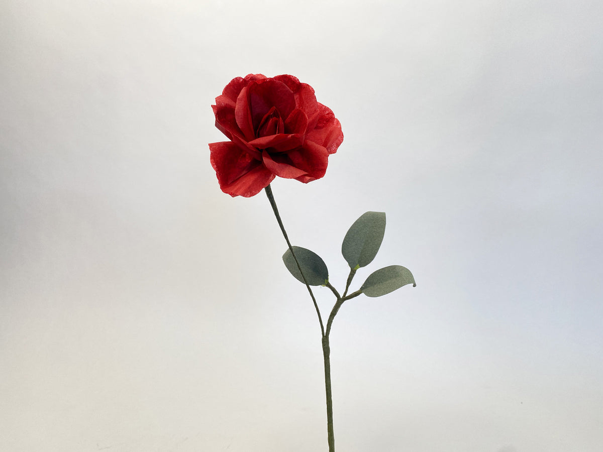 Single Rose – Fredericks and Mae